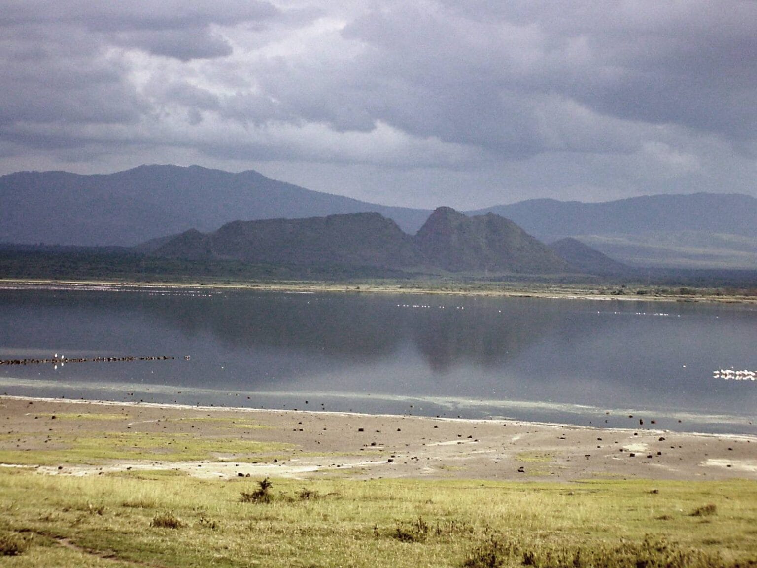 Exploring The Beauty Of Lake Jipe: A Border Lake Between Kenya And ...